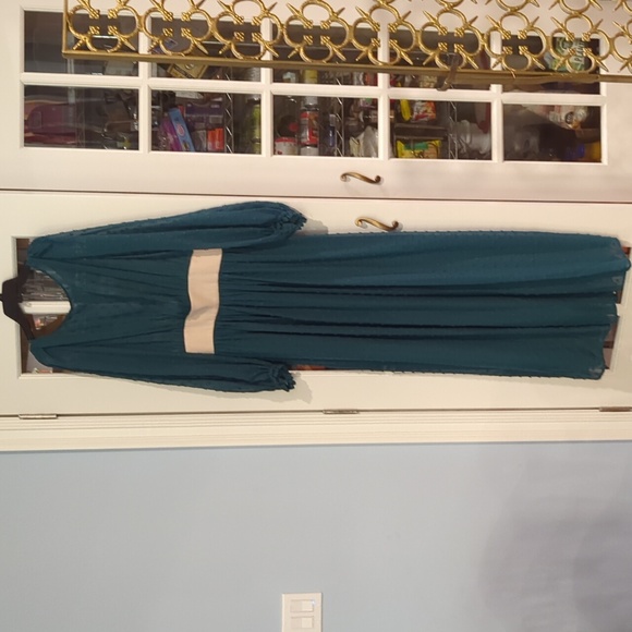 andrea crocetta | Dresses | Sheer Maxi Dress | Poshmark